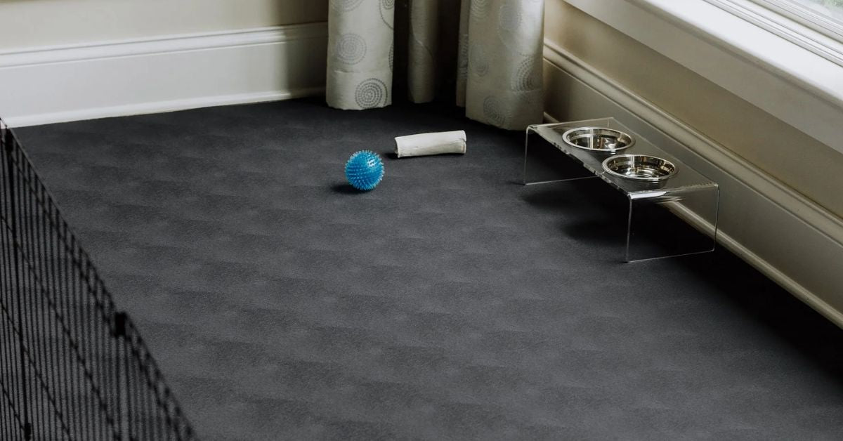 Best Roll Out Flooring for Homes With Cats and Dogs